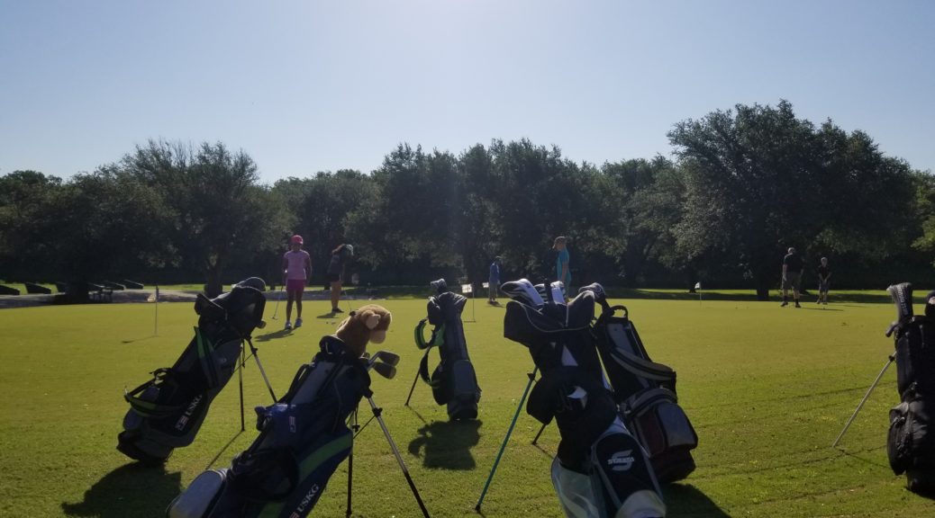 Next level golf coaching
